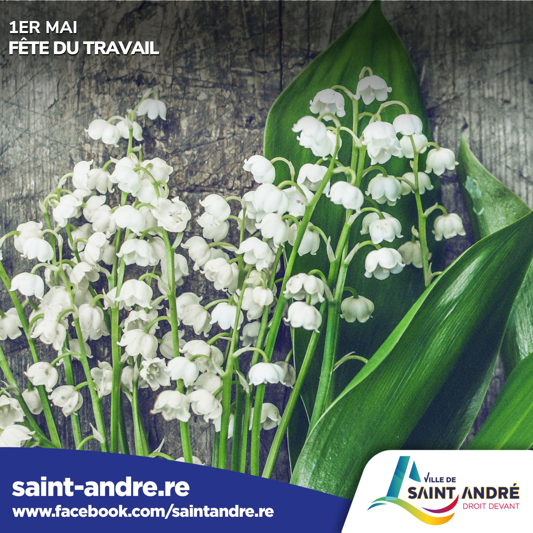 1er MAI - FETE DU TRAVAIL - Saint-andré